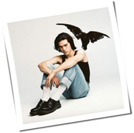 "Kid Krow" von Conan Gray – laut.de – Album