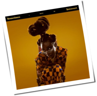 "Sometimes I Might Be Introvert" von Little Simz – laut.de – Album