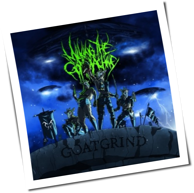 "Goatgrind" von Milking The Goatmachine – laut.de – Album