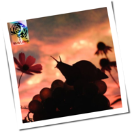 "Bugland" von No Joy – laut.de – Album