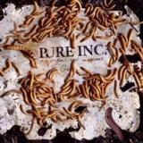 "Parasites And Worms" von Pure Inc& – laut.de – Album