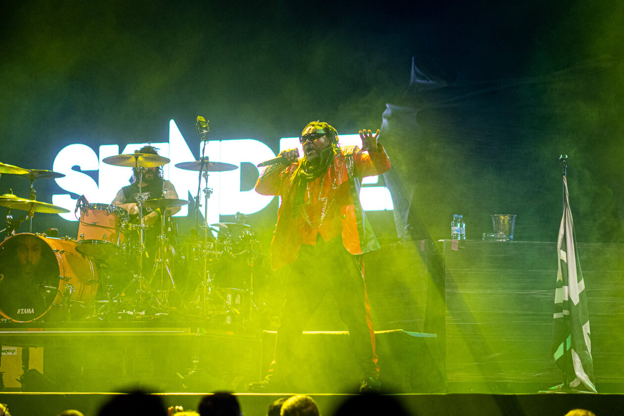 Skindred – Skindred. (10/19) – Die Reggae-Metal-Veteranen im ...