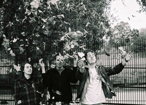 Standard Fare – laut.de – Band