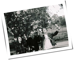 Standard Fare – laut.de – Band