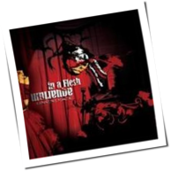 "In A Flesh Aquarium" von Unexpect – laut.de – Album