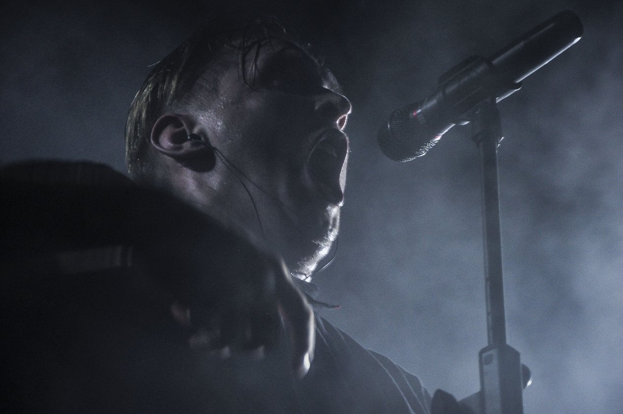 Zugezogen Maskulin – Zugezogen Maskulin. (17/20) – Aus dem Land ...