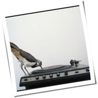 Profil von Bonertastic – laut.de